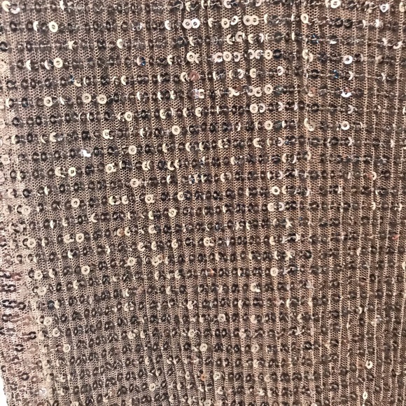 Express | Tops | Silver Sequin Spaghetti Strap Top | Poshmark